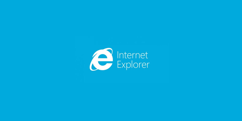 Internet Explorer sucks. Really bad. - David Simpson